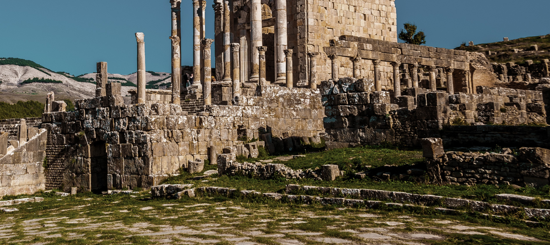 Djemila Guide - Goparoo