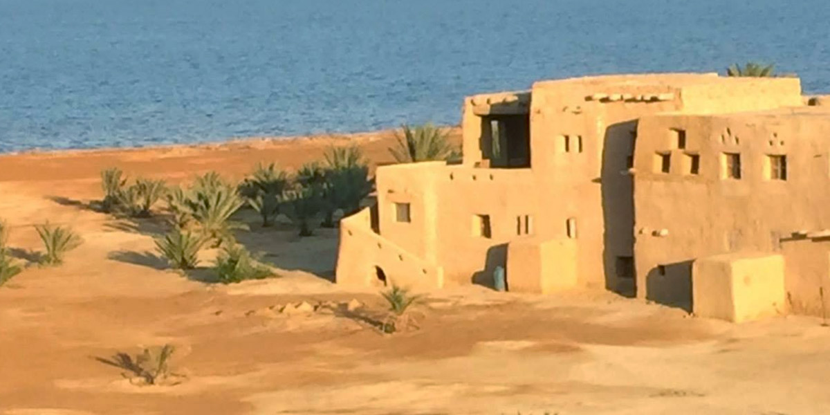 Siwa Oasis - Goparoo