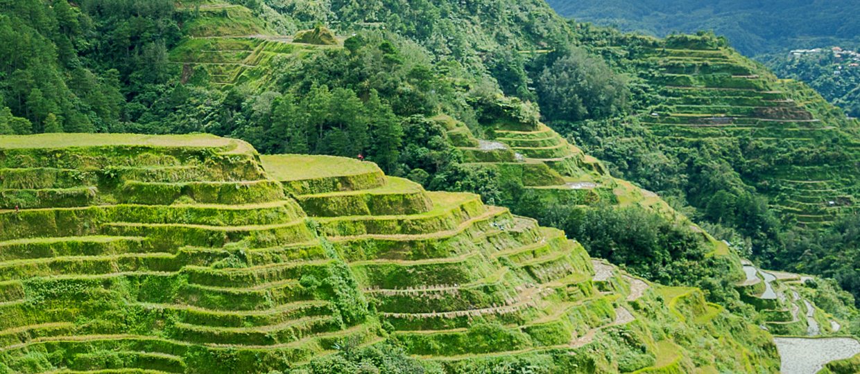 Batad Rice Terraces - Goparoo