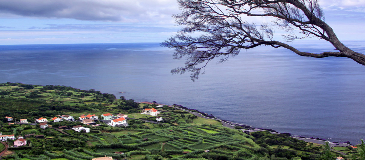 North Coast of Faial Island - Goparoo