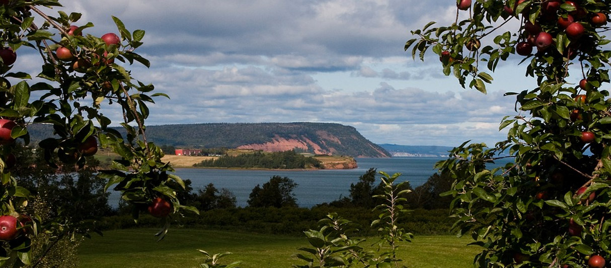 Bay of Fundy - Goparoo