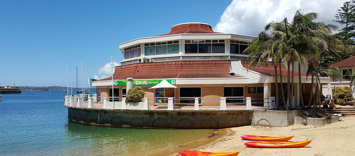 Manly Sea Life Sanctuary - Goparoo